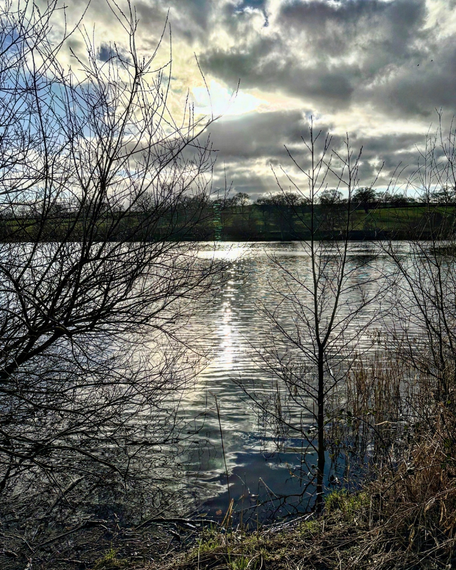 Best Family Walks & Days Out in Yorkshire 2026
